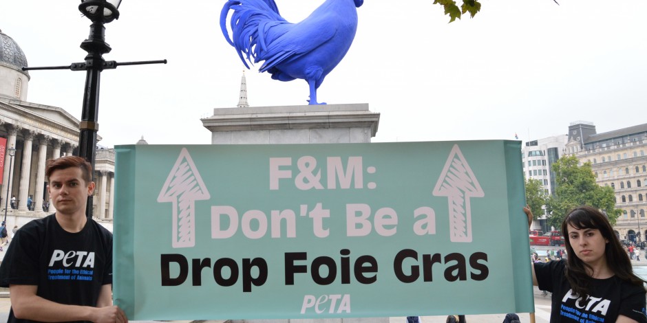 PETA and Big Blue Cock team up in Foie Gras Protest | The Drum