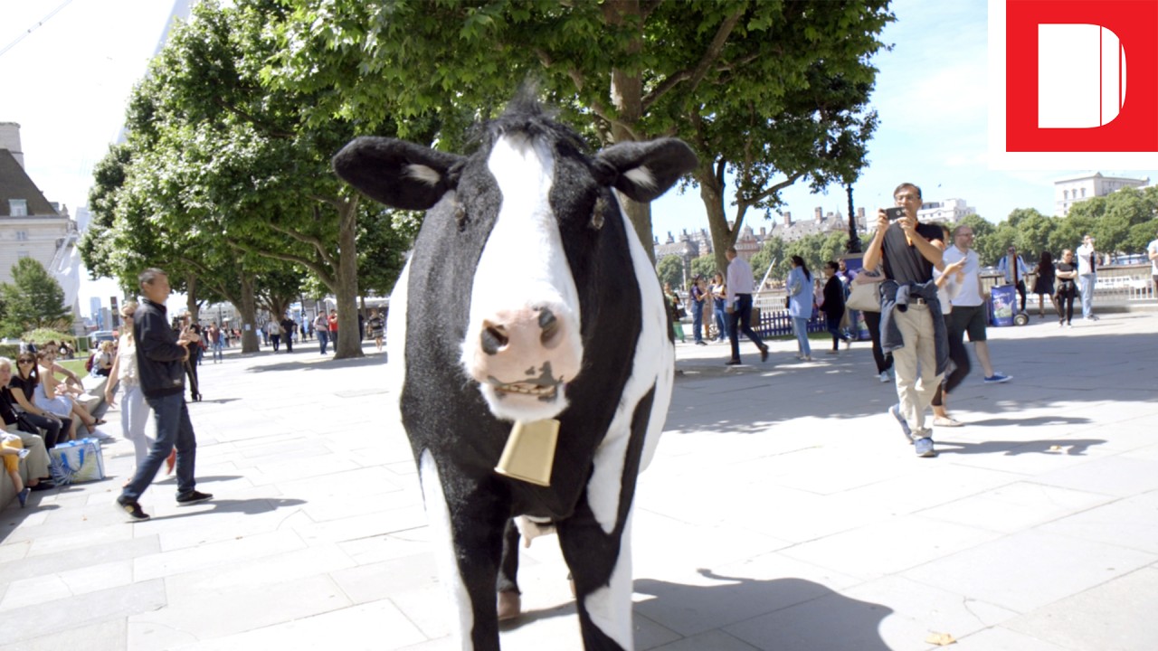 Cadbury Unleashes The Moo Of Its Animatronic Cow To Promote Bovine ...