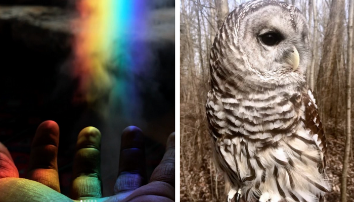 Apple Joins Instagram To Show Off ‘Shot On IPhone’ Photos | The Drum